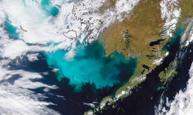 Uncovering a “sleeping giant” Arctic cyst bed - Anderson Lab
