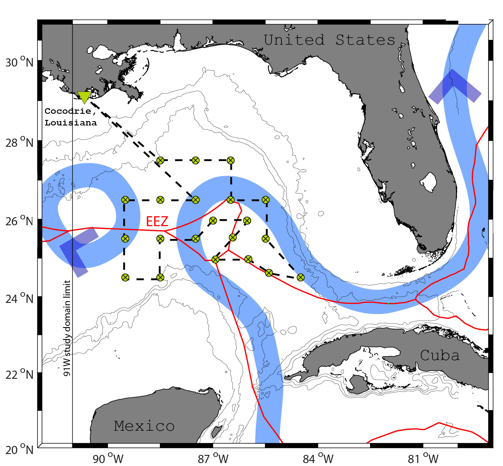Projects - Bower Lab