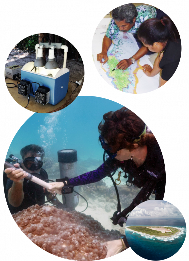 Super Reefs - Cohen Lab