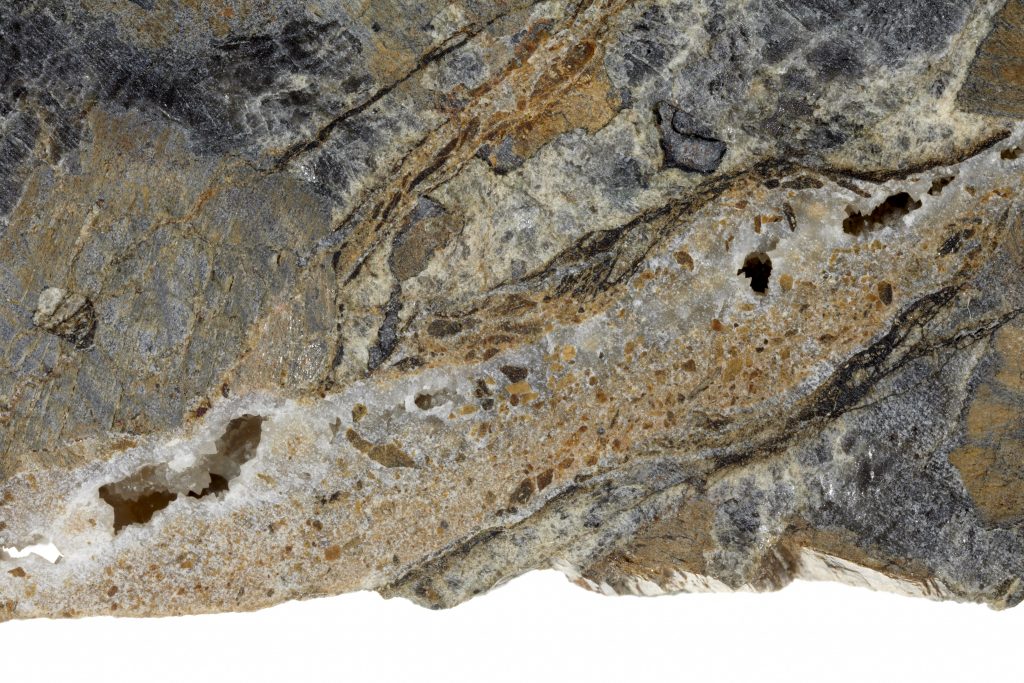 Deep Marine Subsurface Biosphere - Edgcomb Laboratory