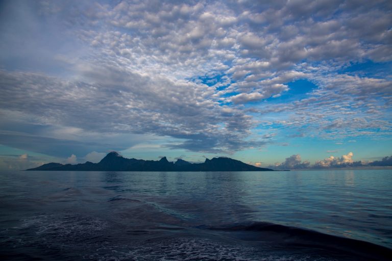 GEOTRACES: Pacific Meridional Transect - Coastal Groundwater Geochemistry