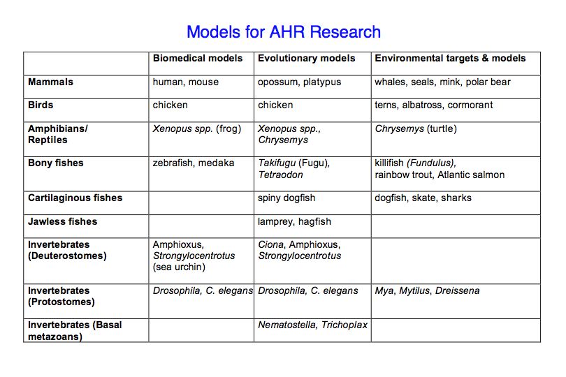 Aryl Hydrocarbon Receptor Biology - Hahn Lab