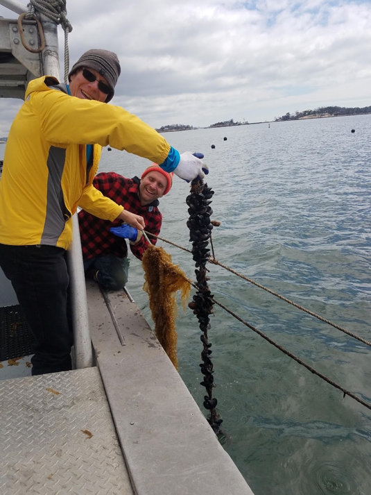 Shellfish Farming - Lindell Lab