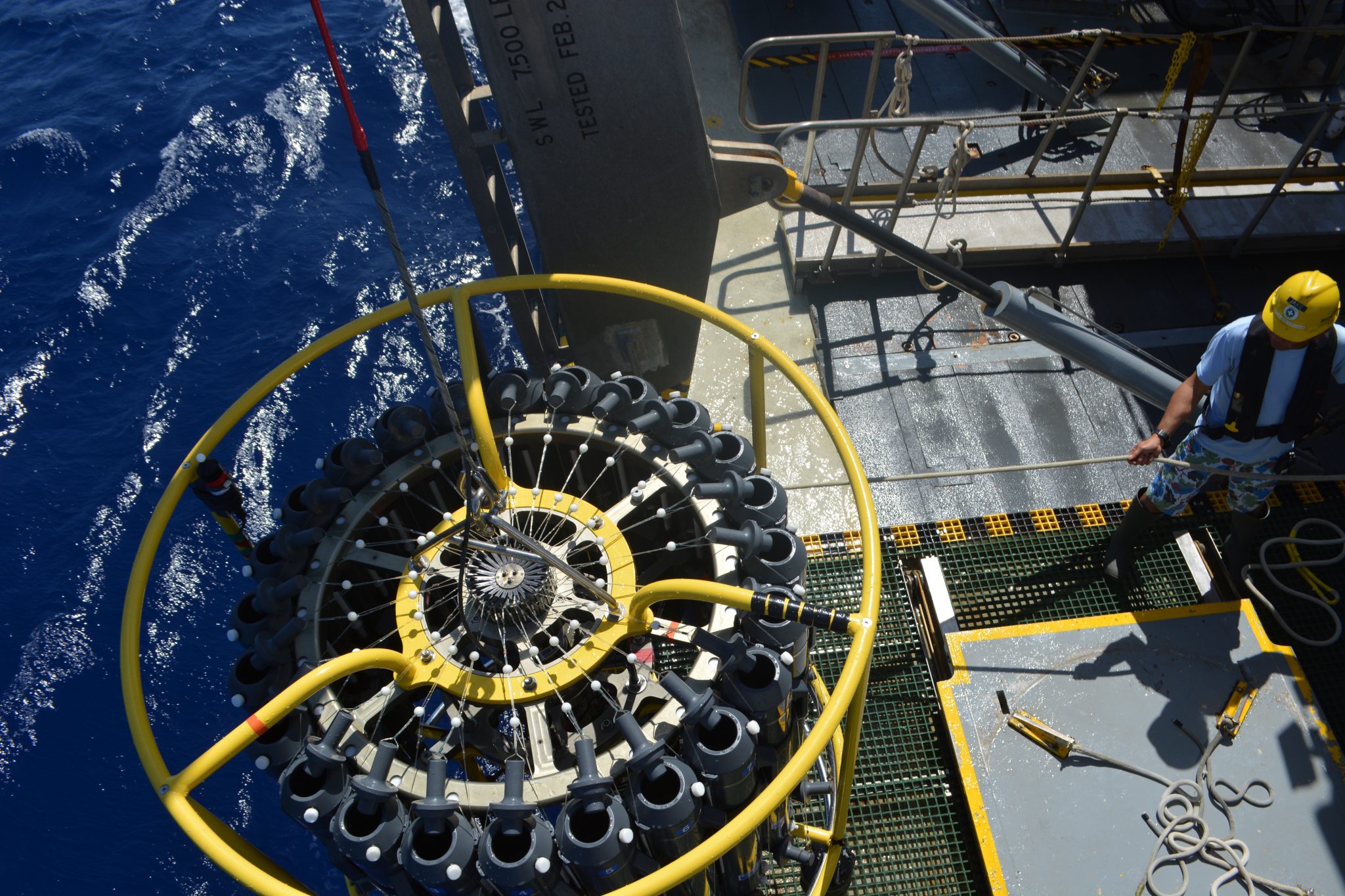 Organic matter in the marine environment - Molecular Environmental Science