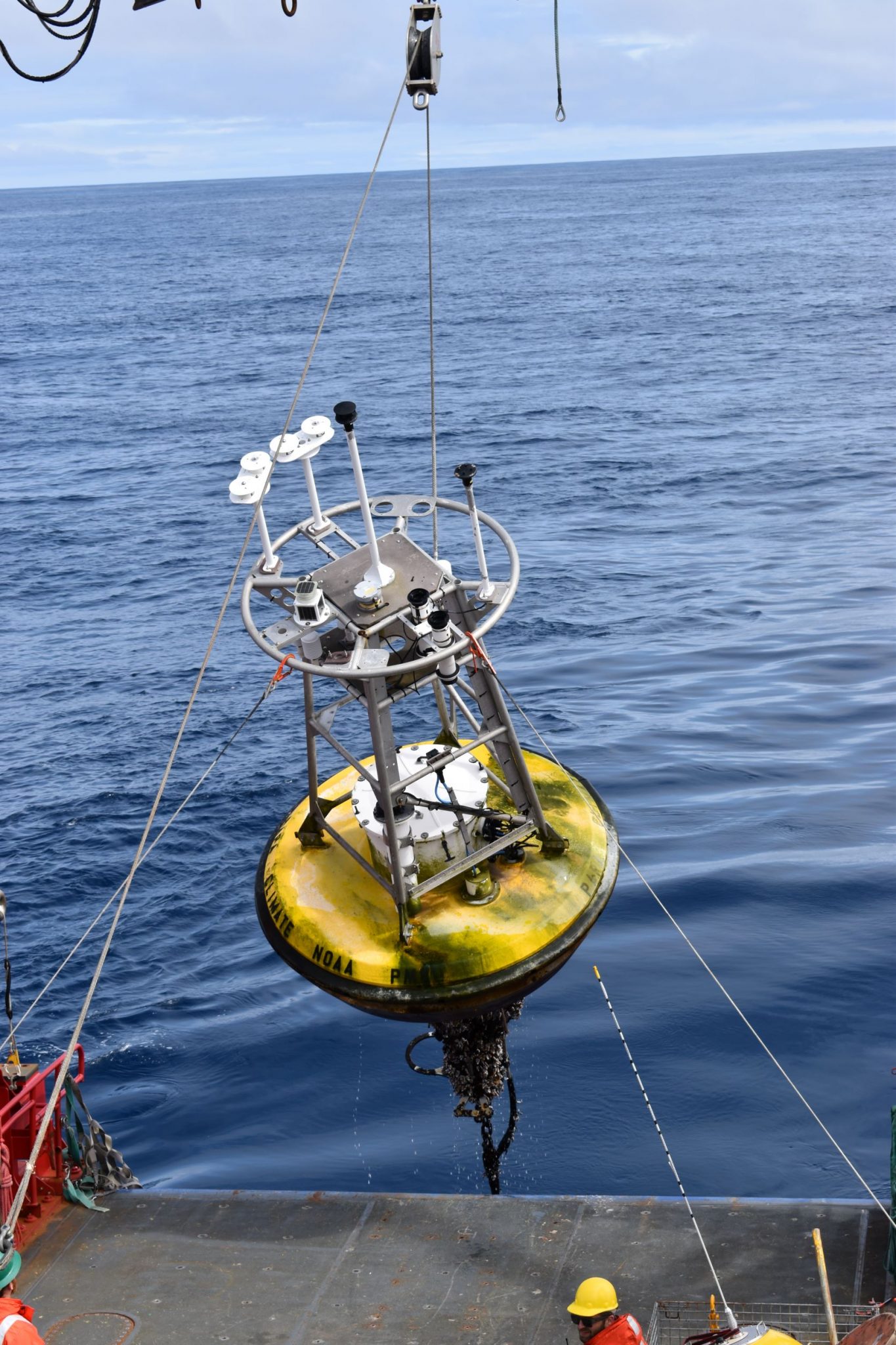 Biofouled buoy - OOI Expedition
