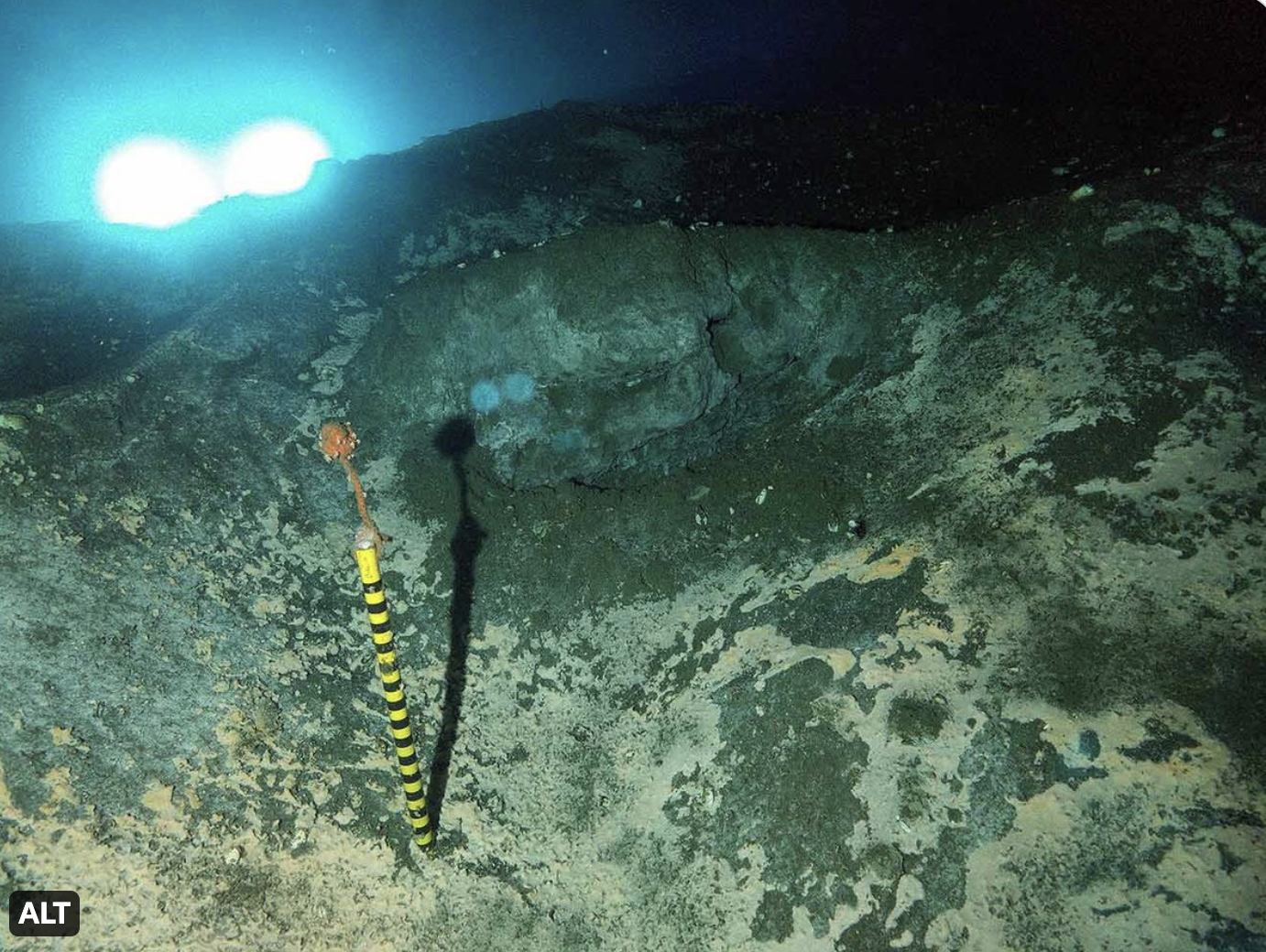Camera capturing gas hydrate mound - OOI Expedition