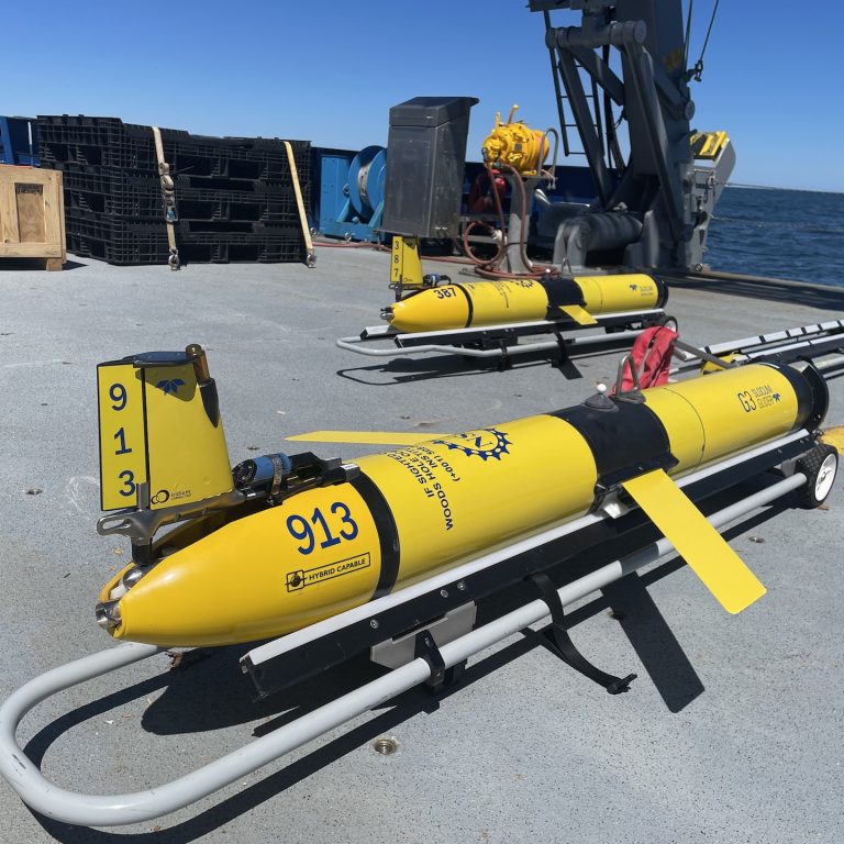 Two More Gliders Deployed - OOI Expedition