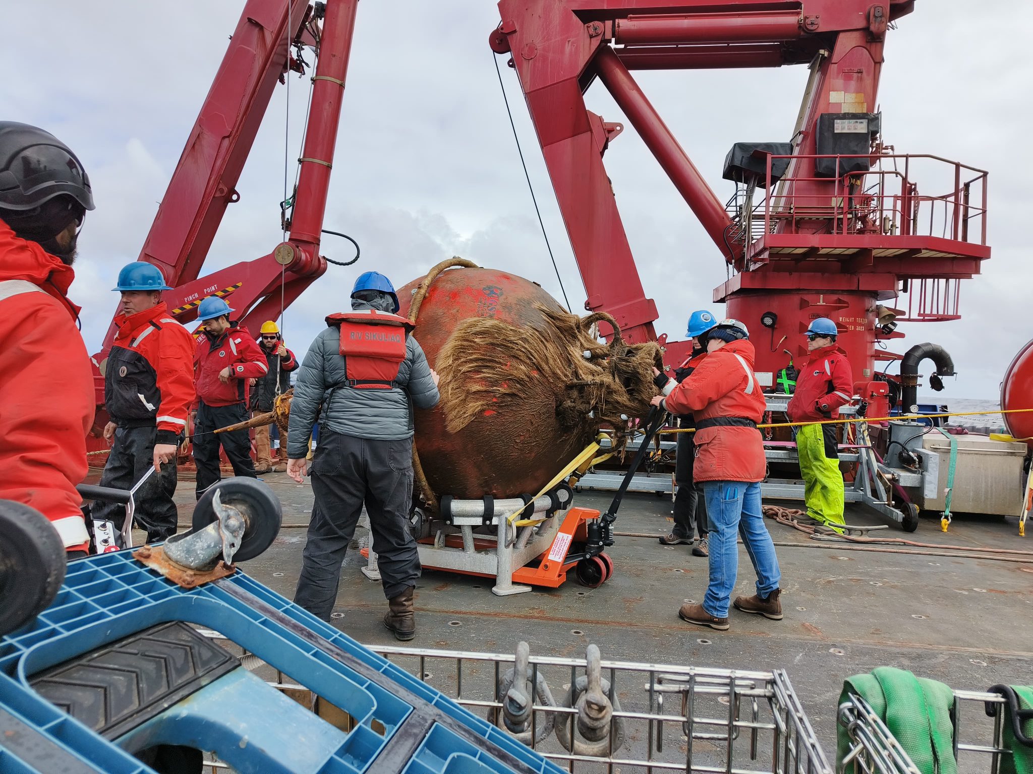 Giant Hairy Bearded Man - OOI Expedition