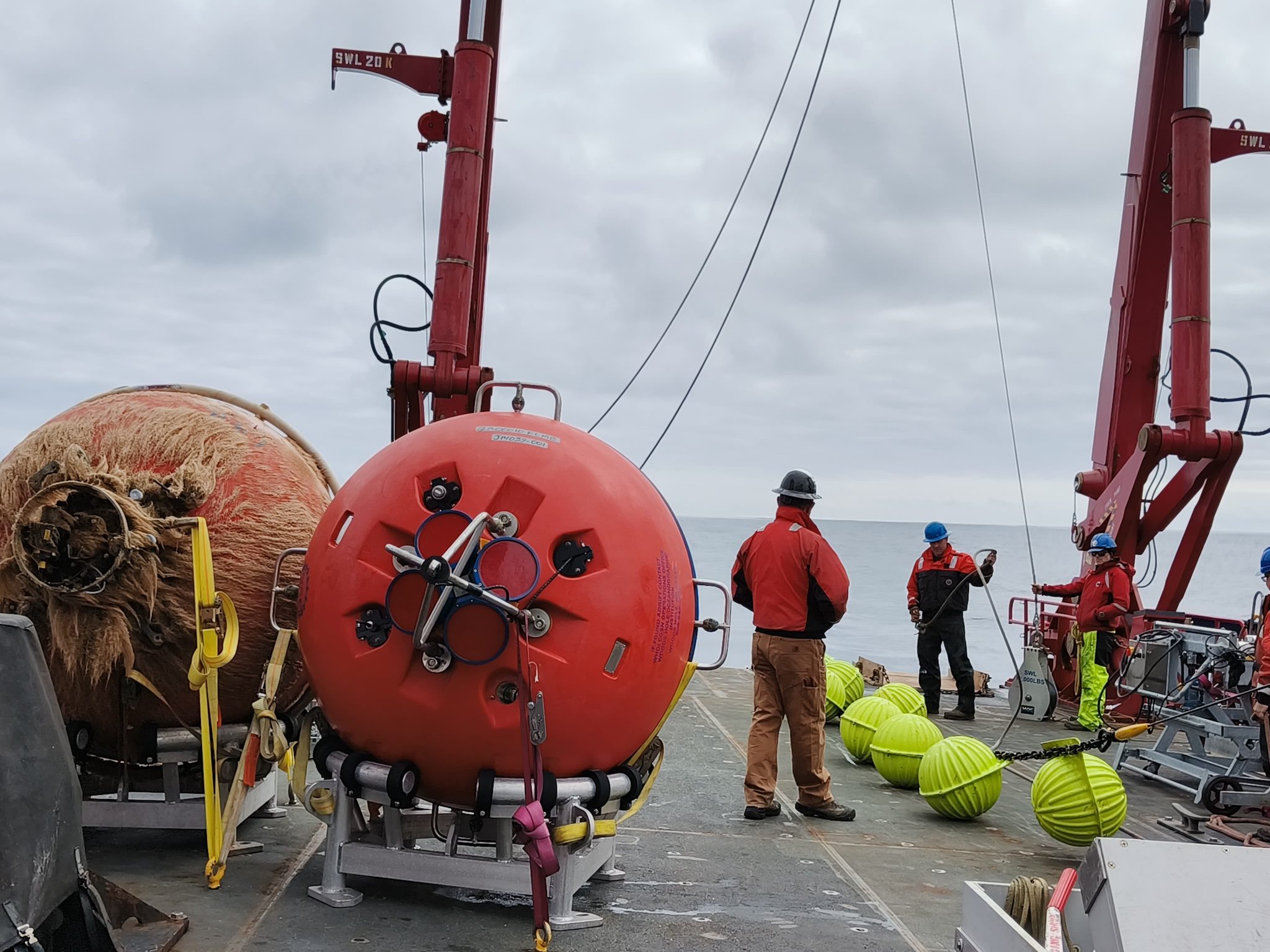 Giant Hairy Bearded Man - OOI Expedition