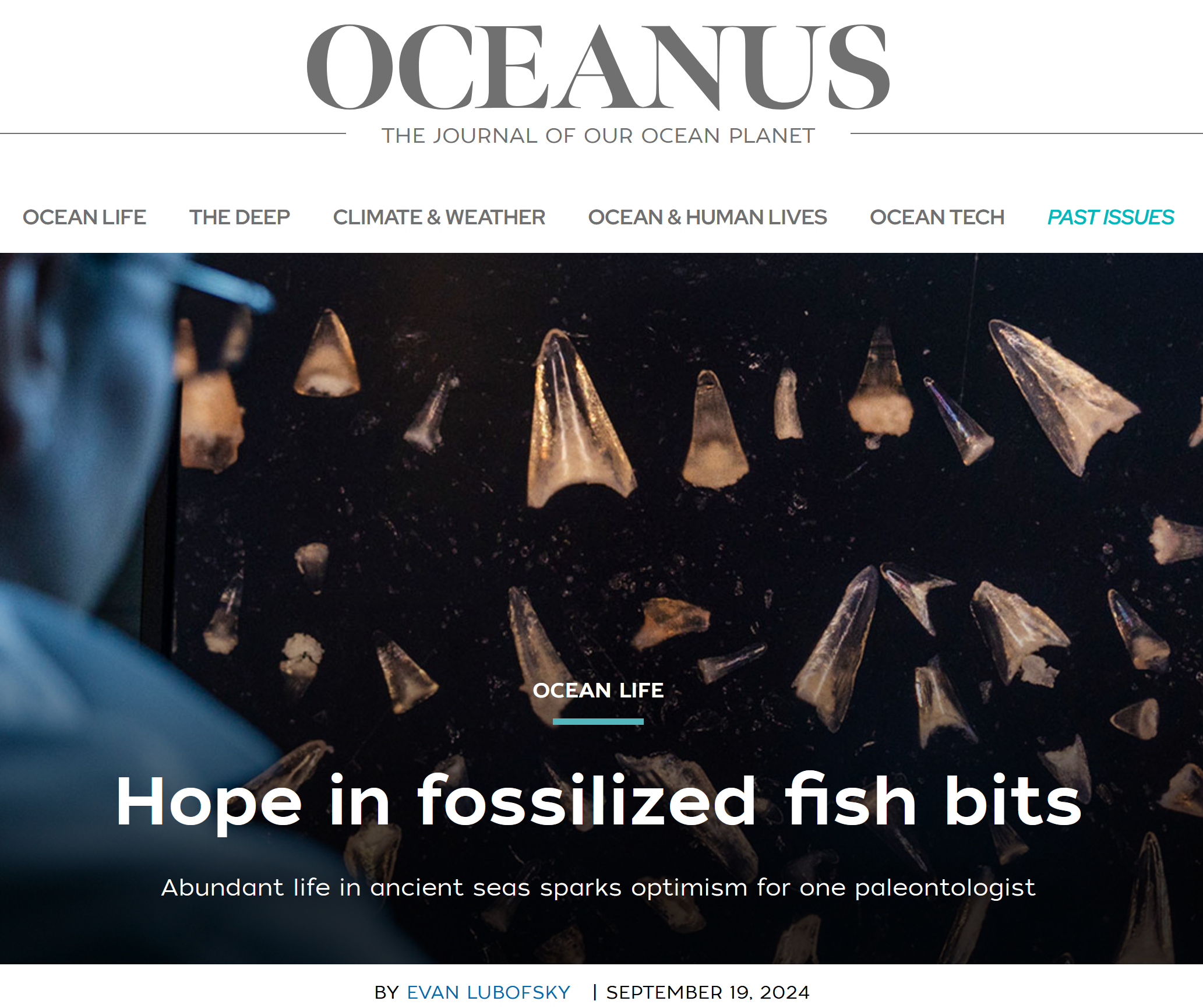 Oceanus Article spotlight: “Hope in Fossilized Fish Bits” - Paleo-FISHES