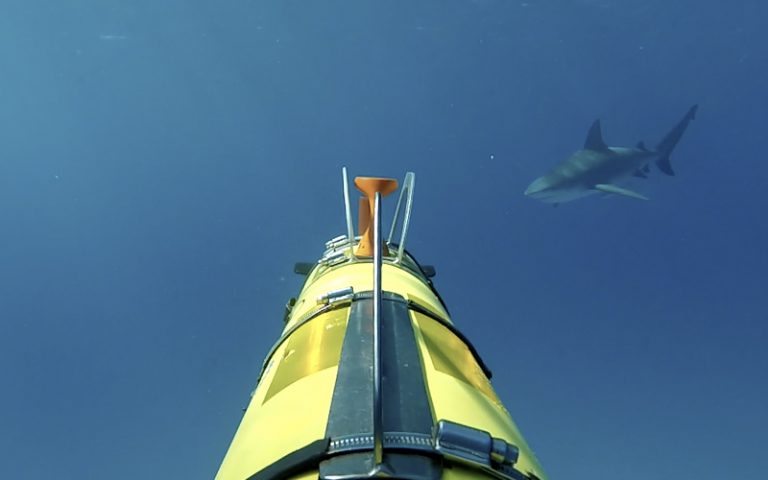 REMUS SharkCam - Scibotics Lab