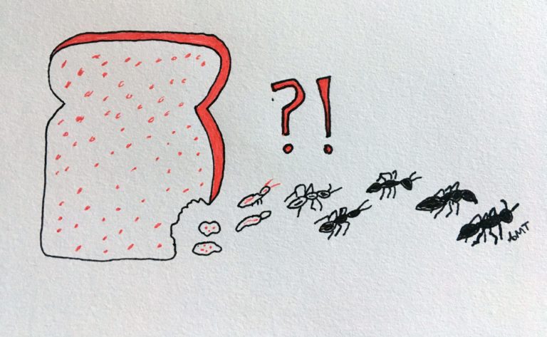 Adventures in “Spontaneous Generation” - The Tarrant Lab
