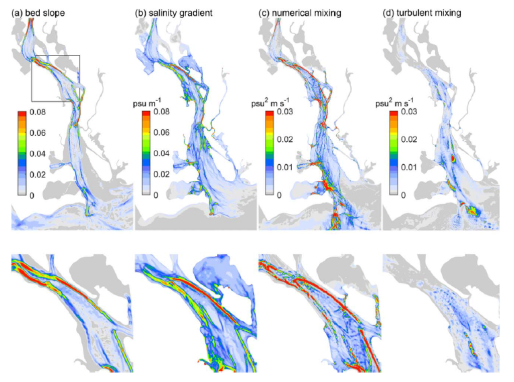 Estuarine dynamics – David Ralston