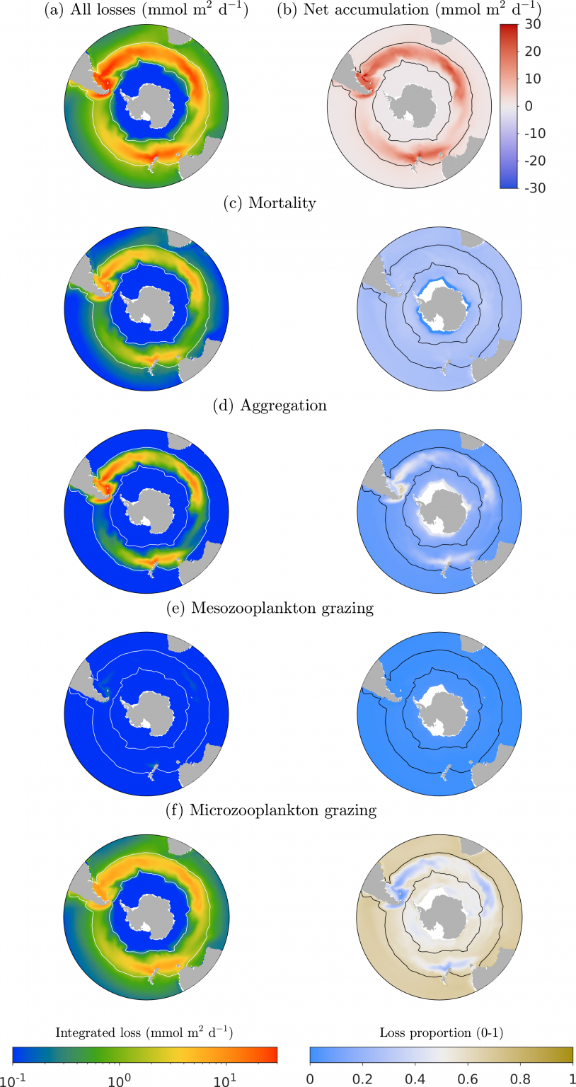 Modeling Southern Ocean PIC? Contrasting temperature-growth curves for ...