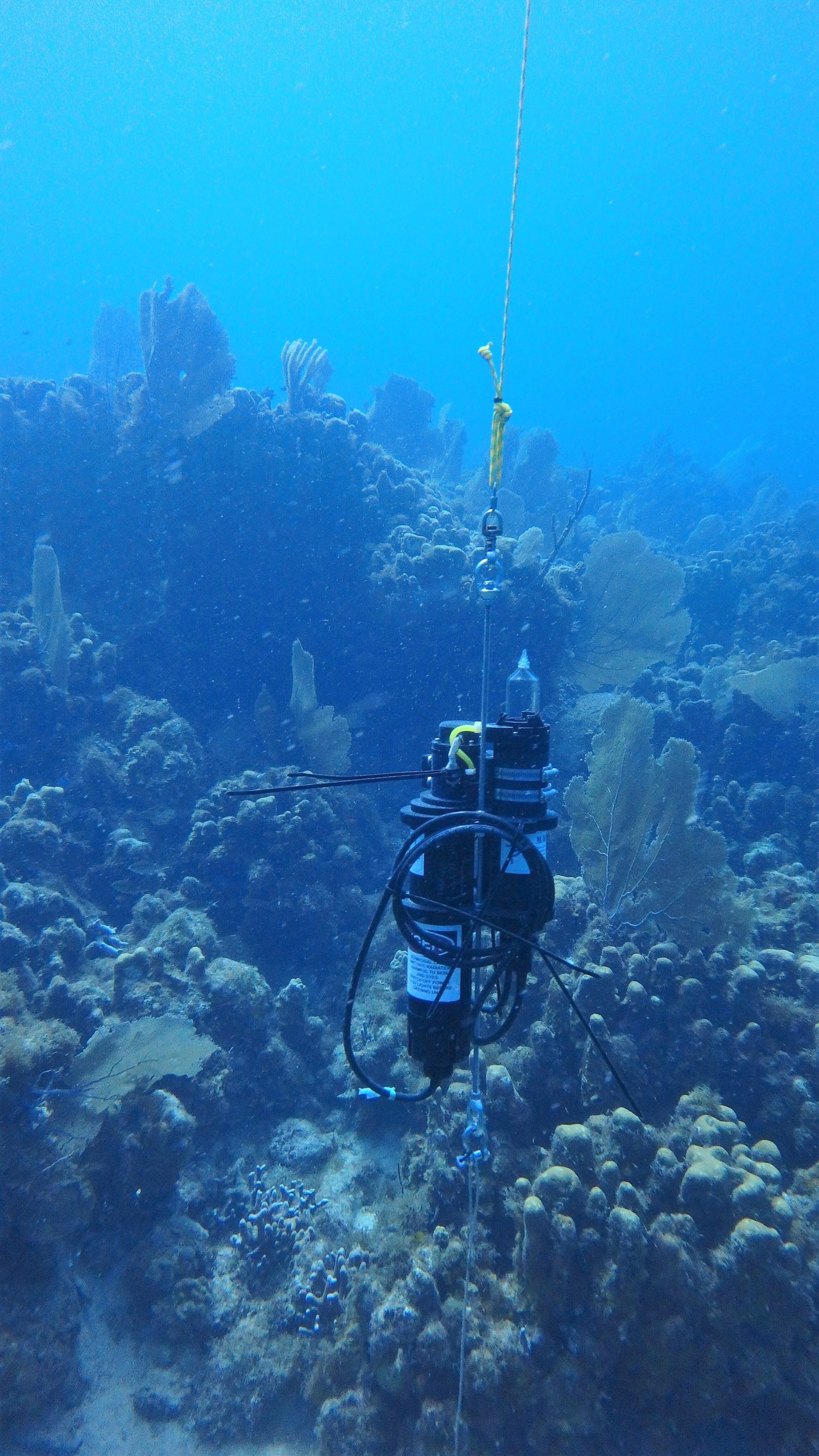 Gallery – Dr Matt Long