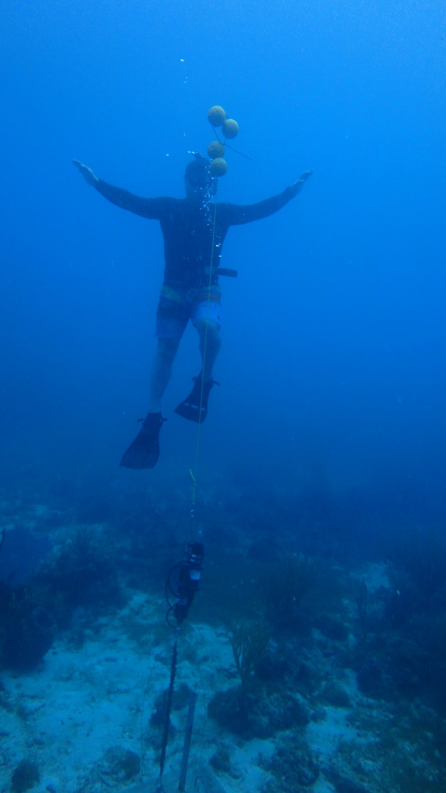 Gallery – Dr Matt Long