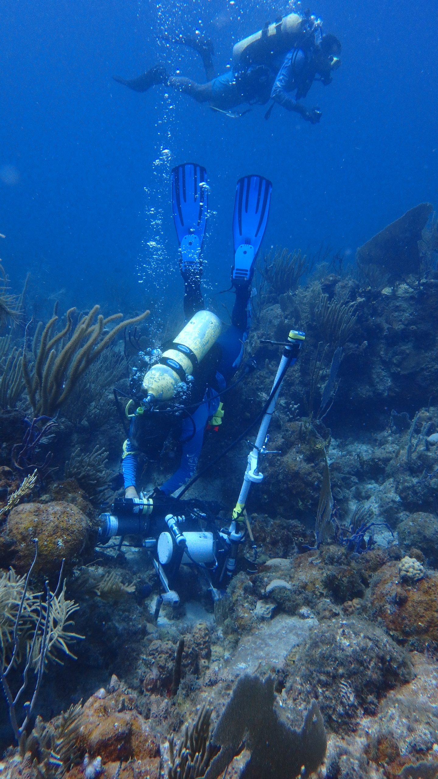 Gallery – Dr Matt Long