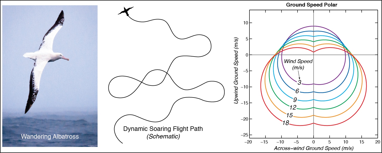 Project #1 – Philip L. Richardson