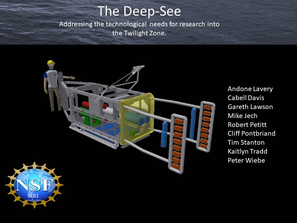DEEP-SEE Development Project – Dr Peter H. Wiebe