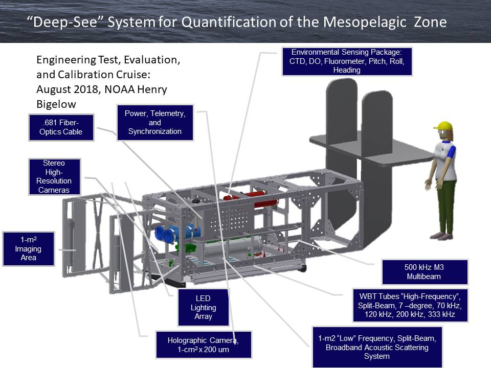 DEEP-SEE Development Project – Dr Peter H. Wiebe