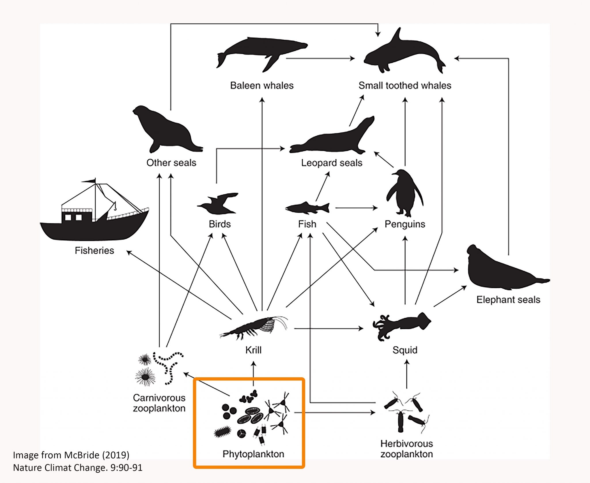 Quite clearly ocean – Dr. Rebecca Gast
