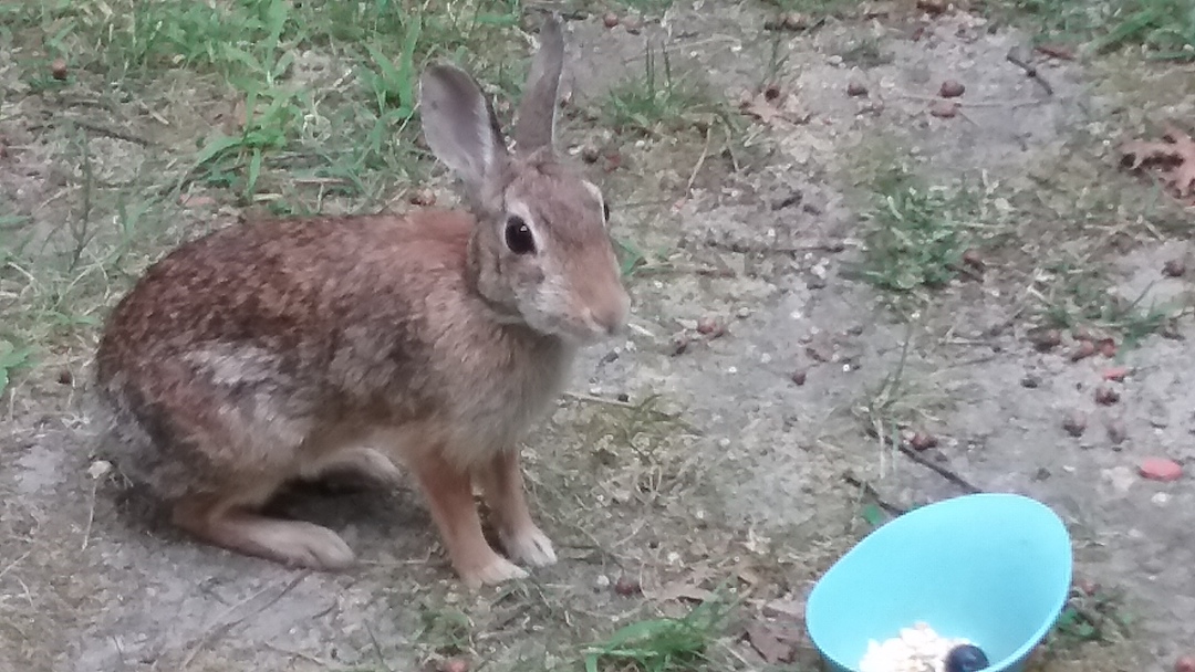 Stark and sullen solitudes – Dr. Rebecca Gast