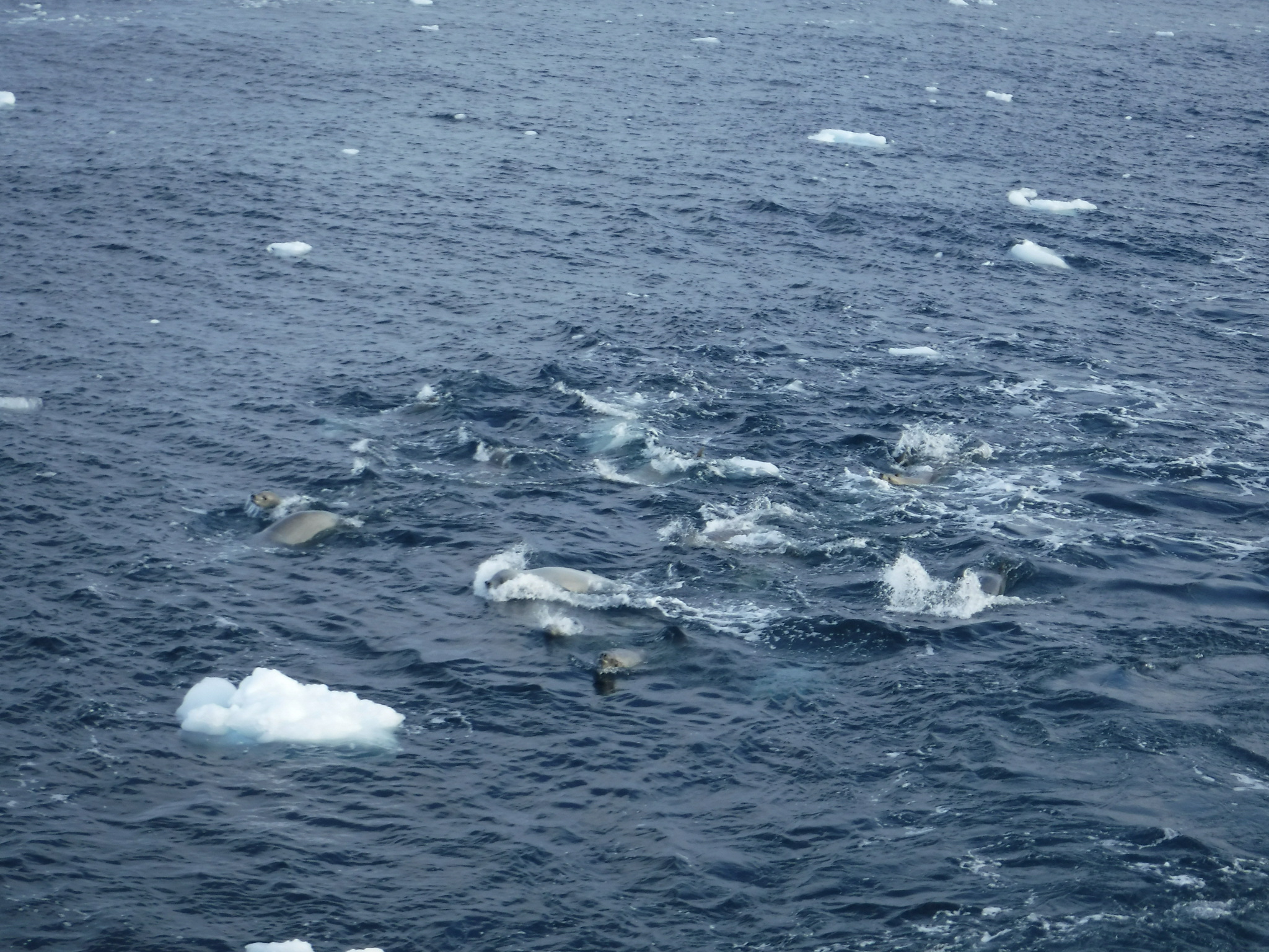 Stark and sullen solitudes – Dr. Rebecca Gast