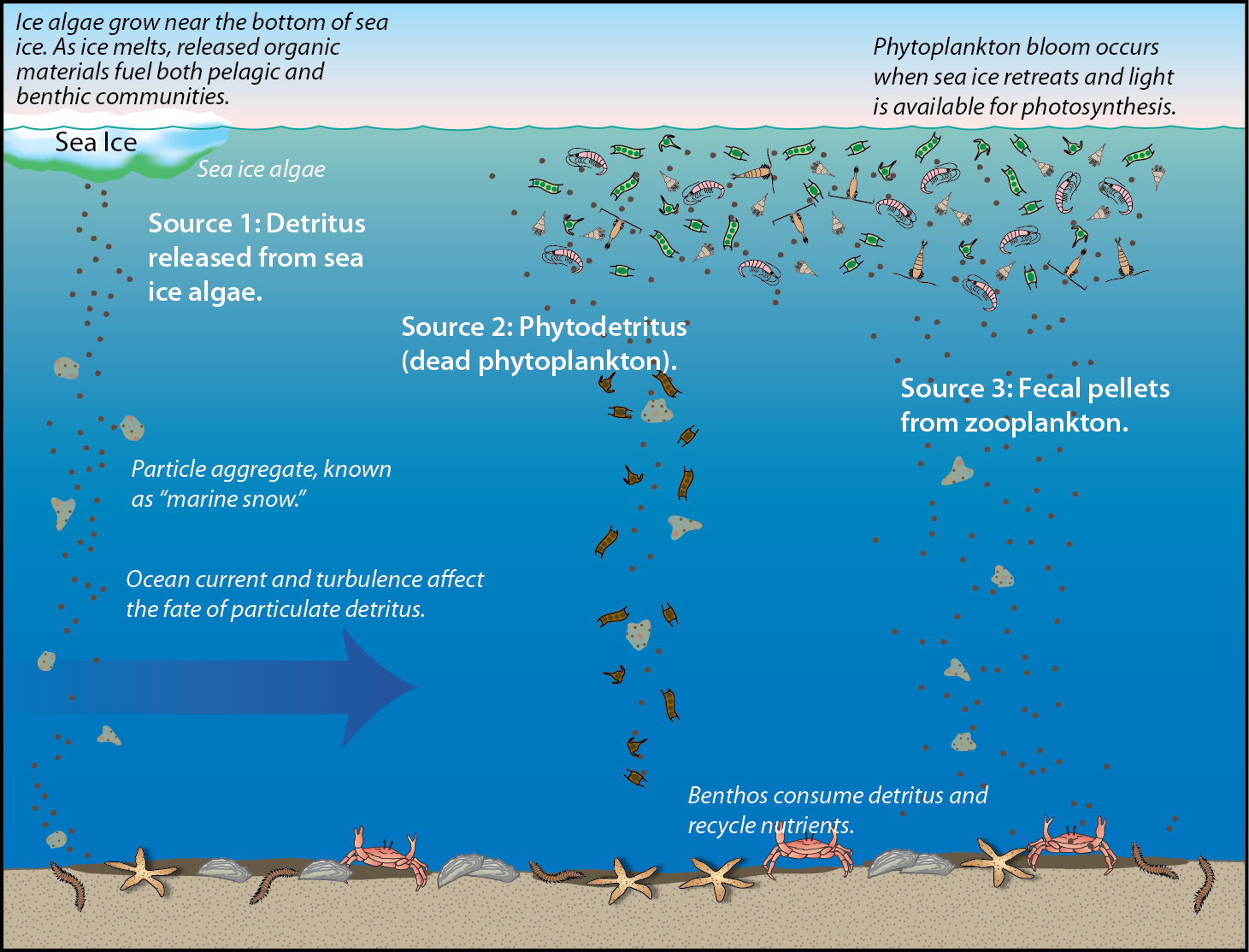 Projects – Dr. Zhixuan Feng